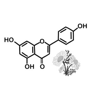 Apigénine - Distributeur en gros