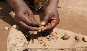 How Shea Butter is Made